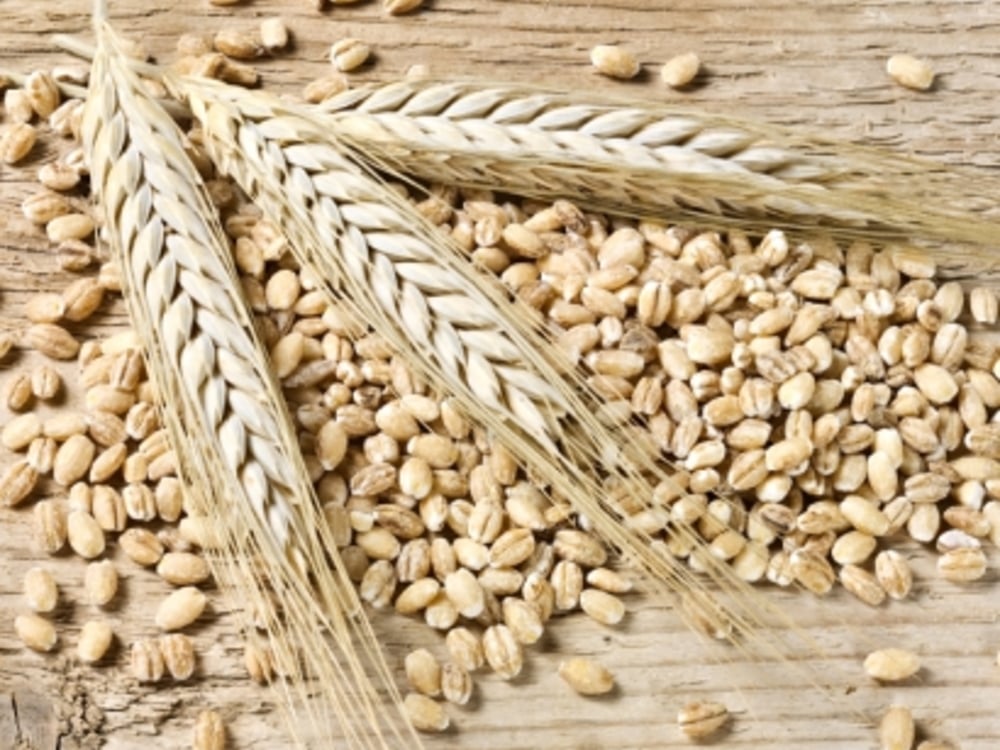 Die Gerste-Gesund und köstlich - Vitalpina Hotels Südtirol