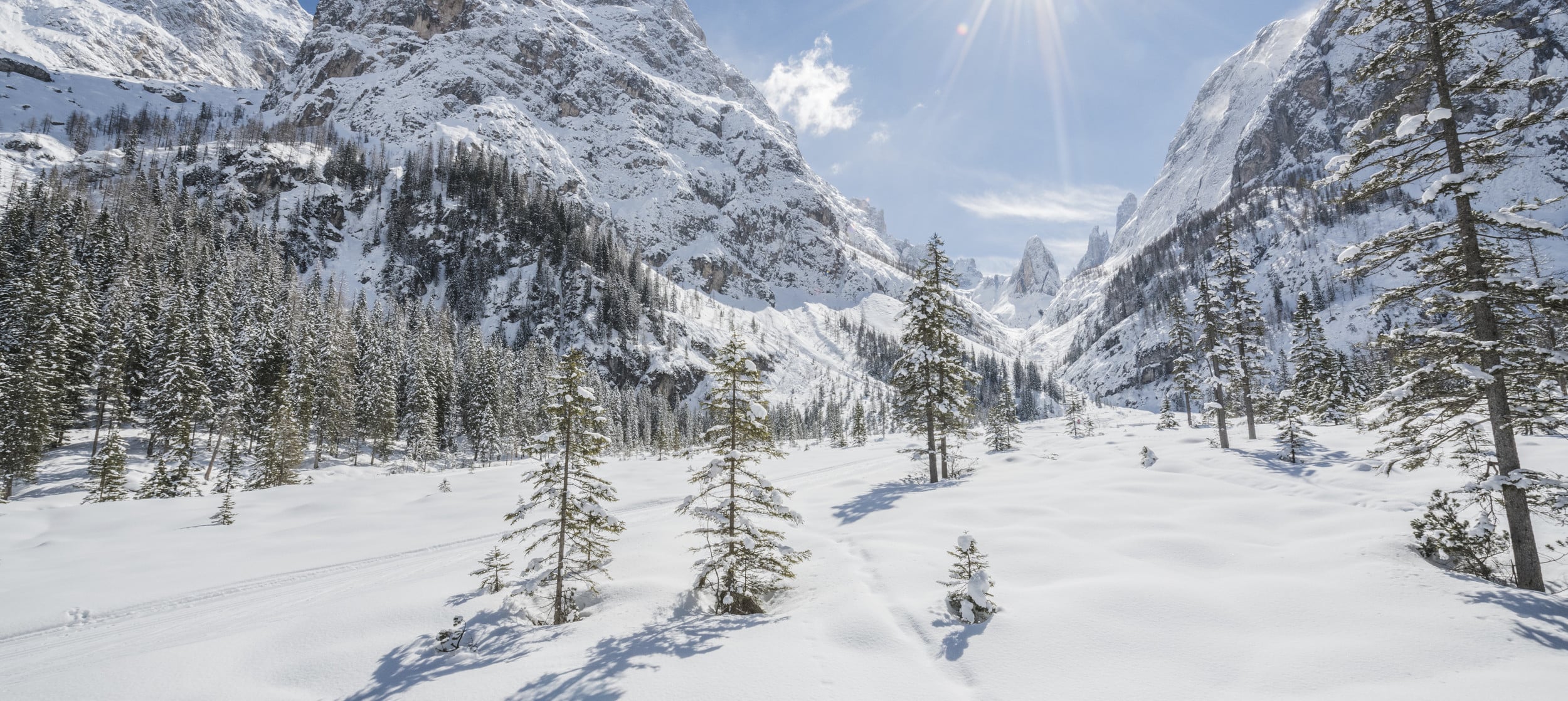 Voices of the mountains/Winter walks in South Tyrol - Vitalpina Hotels ...
